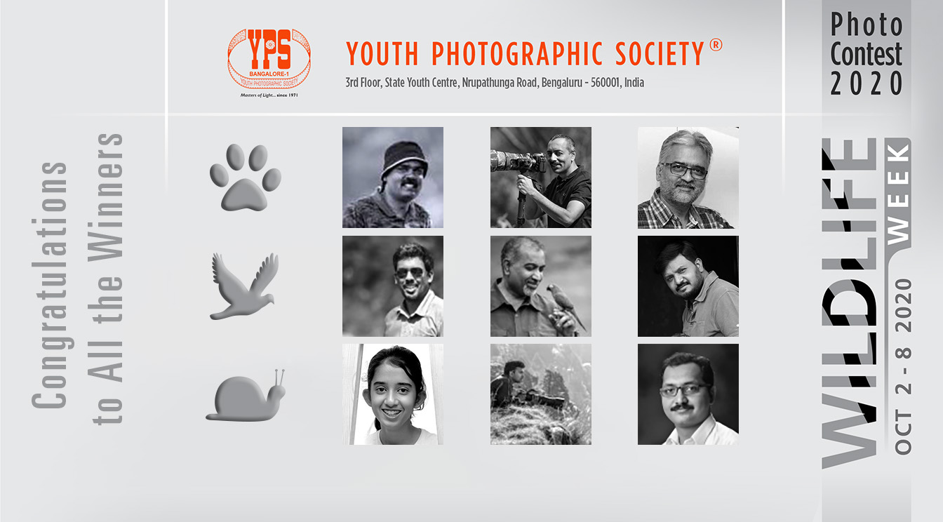Exemplary Wildlife Week 2020 | Youth Photographic Society