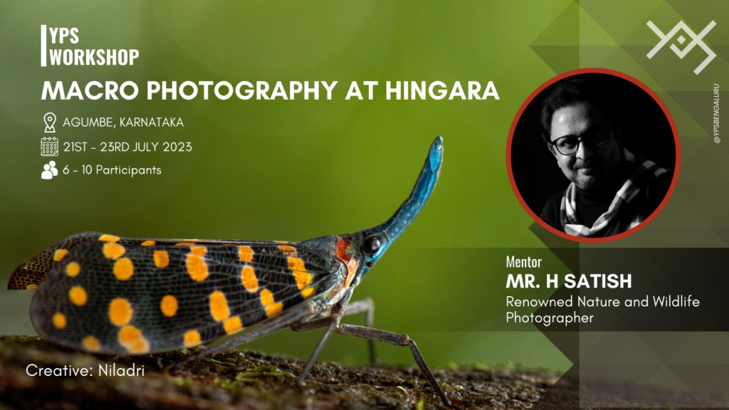 YPS MACRO PHOTOGRAPHY WORKSHOP AT HINGARA | Youth Photographic Society