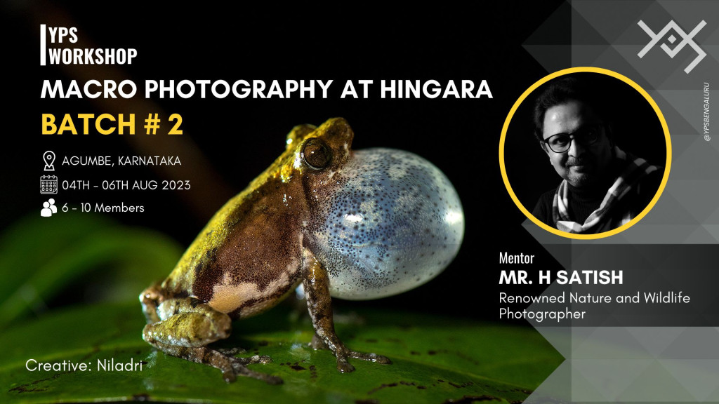 YPS MACRO PHOTOGRAPHY WORKSHOP AT HINGARA – BATCH #2 | Youth Photographic Society