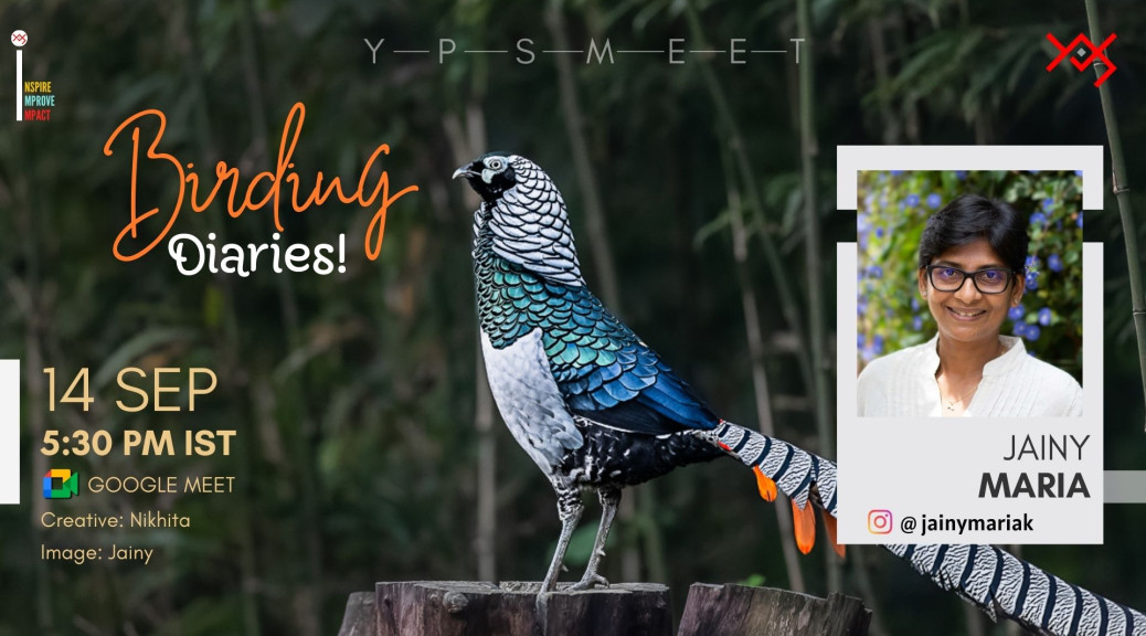 Youth Photographic Society | Since 1971